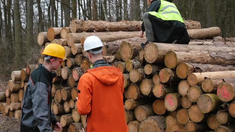 The Manager is Talking To the Assistant at the Logging he Discusses ...