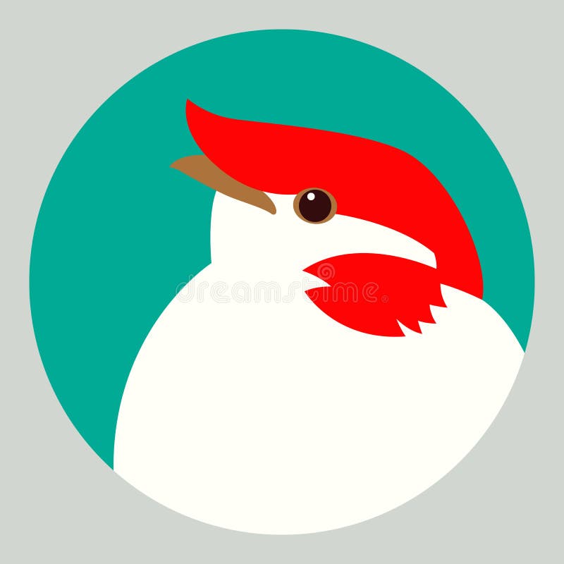 Manakin Head Vector Illustration Lining Draw Profile Stock Vector ...