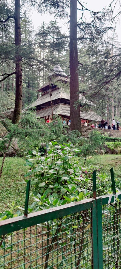 Manali, India - 13 May 2023, Hidamba Devi Temple in Manali Stock Image ...