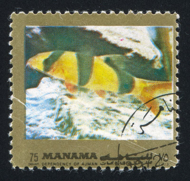 Fish Scale Stamp Stock Photos - Free & Royalty-Free Stock Photos from ...