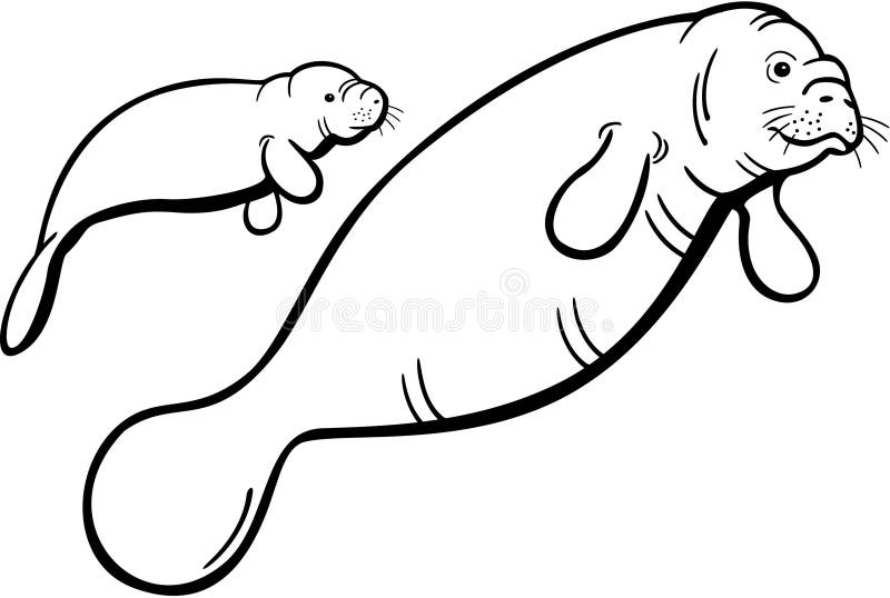 Manateeg of Zeekoe Bedreigde Wilde Dieren Cartoon Mono Line Tekening ...