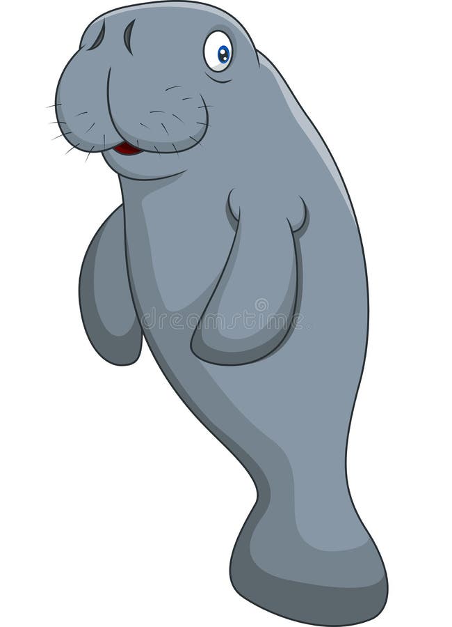 Manatí Ilustraciones Stock, Vectores, Y Clipart – (1,896 Ilustraciones ...