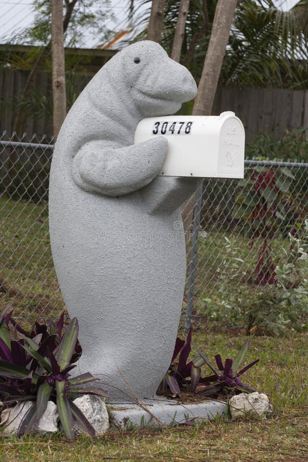 Manatee Mailbox stock image. Image of white, florida - 13553419