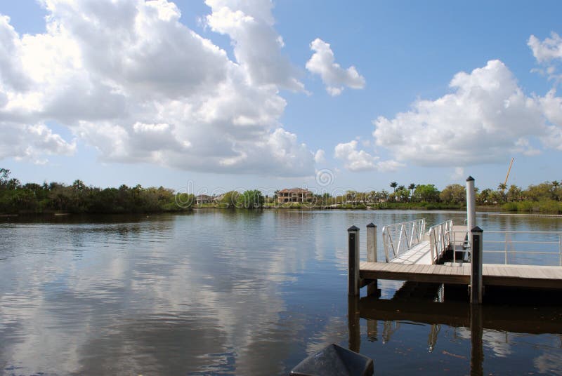 Manatee river in Florida stock photo. Image of manatee - 111057836