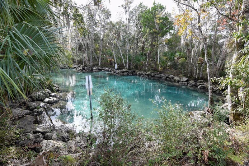 Crystal River, Three Sisters Springs December 26 2022 Stock Image ...