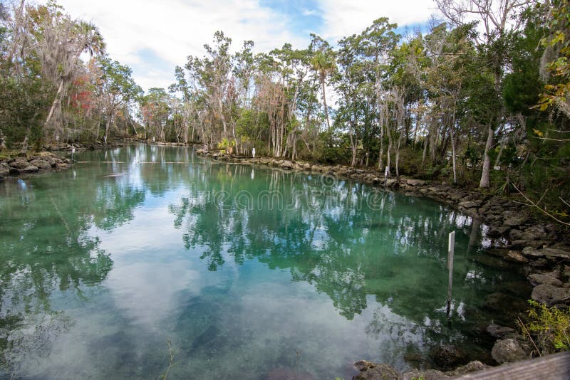 Crystal River, Three Sisters Springs December 26 2022 Editorial Image ...