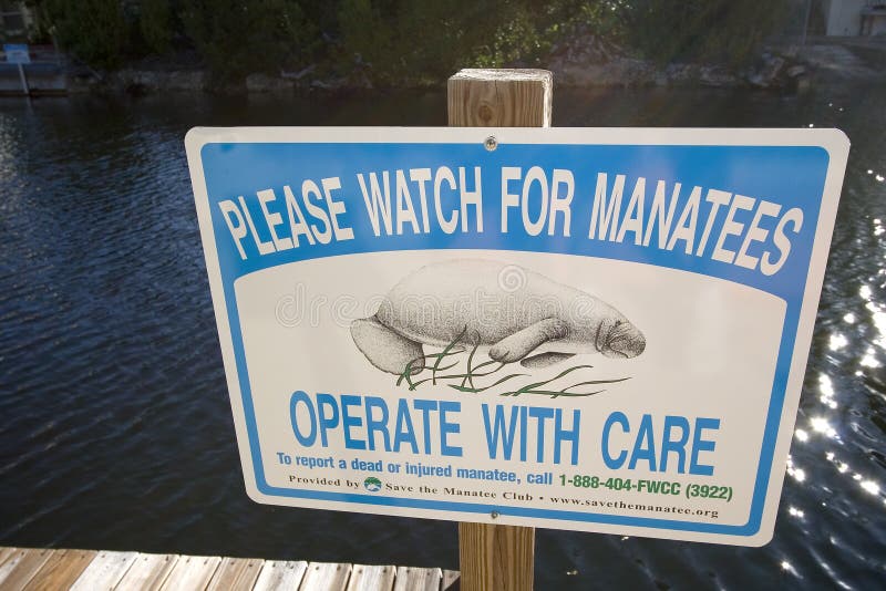 Manatees Sign in a Florida Canal. Stock Image - Image of islamorada ...