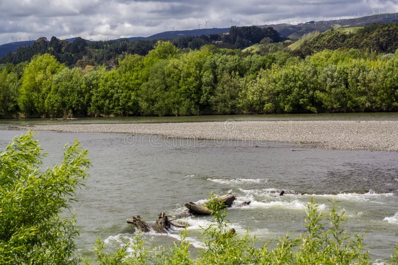 Manawatu River Flowing through a Wooded Landscape in New Zealand Stock ...