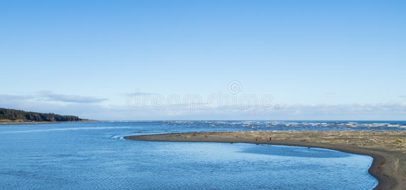Manawatu River Meets the Sea Stock Photo - Image of beach, environment ...