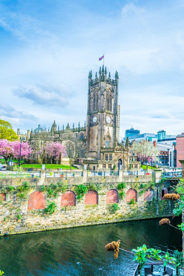 Manchester Cathedral, England Stock Photo - Image of britain ...