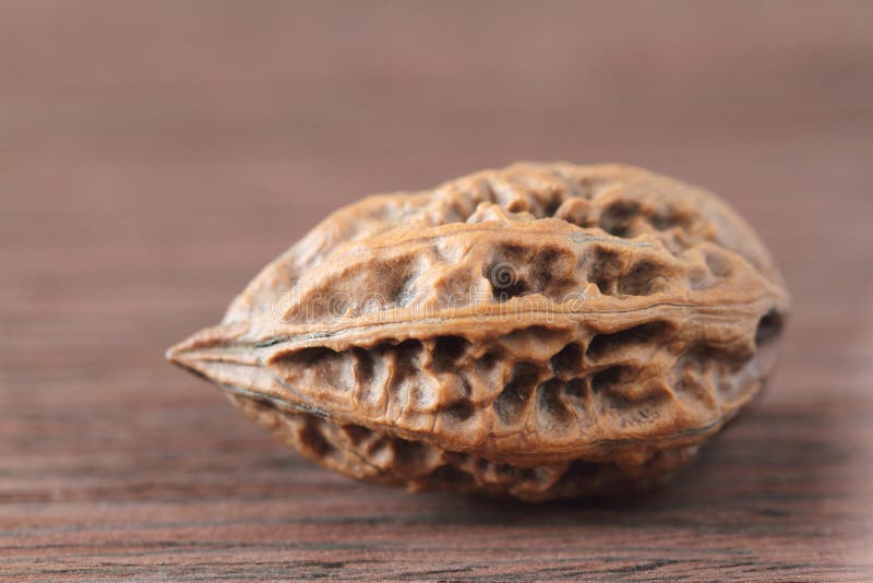 Manchurian walnut stock image. Image of manchurian, object - 23900693