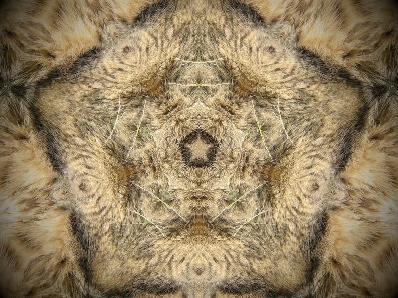 Mandala Astratta Dell'erba E Della Pelliccia Fotografia Stock ...