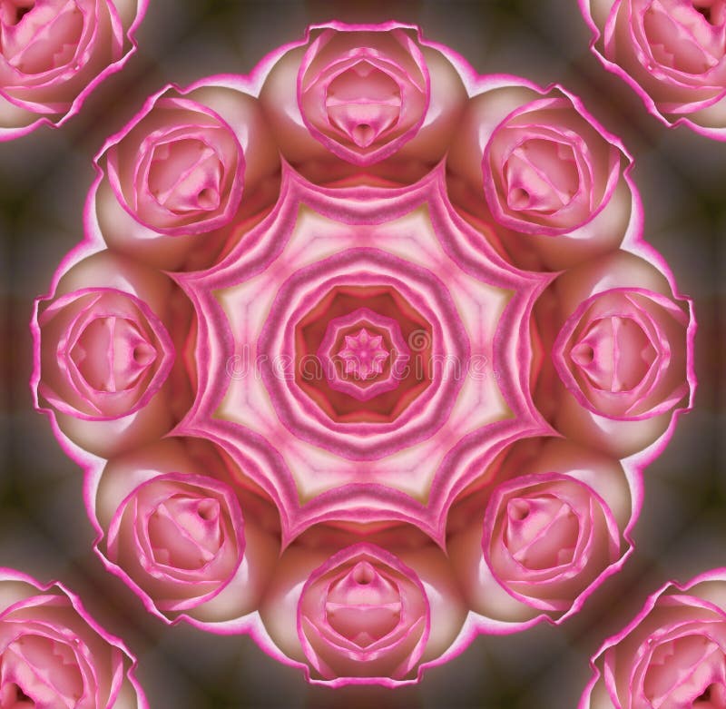 Mandala de Rosa ilustração stock. Ilustração de divino - 283988