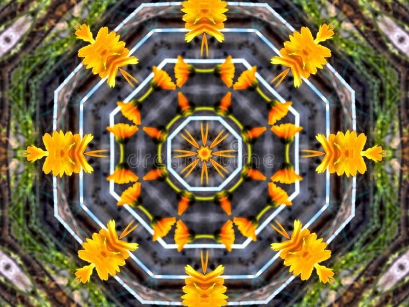 Yellow Flowers Octagon Design Mandala Stock Image - Image of flowers ...