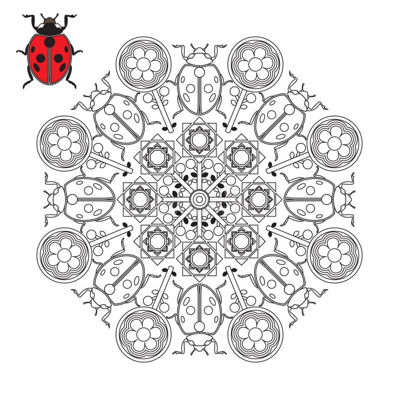 Mandala with ladybug. stock vector. Illustration of mandala - 62599196