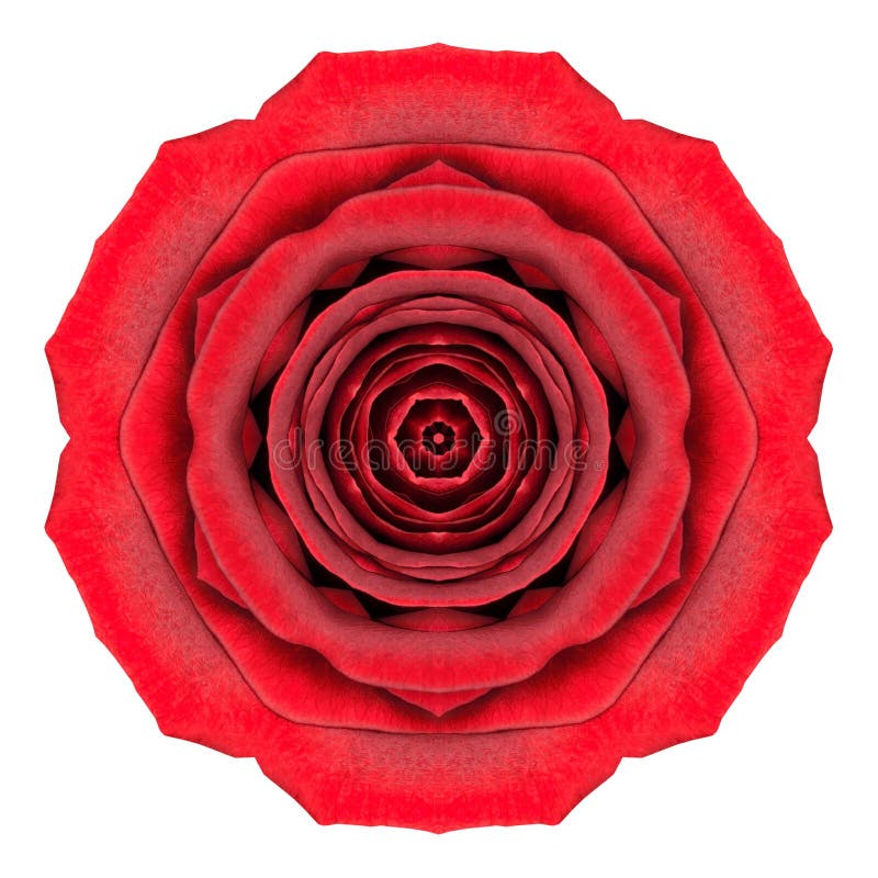 Red Rose Mandala Flower Kaleidoscopic Isolated on White Stock Image ...