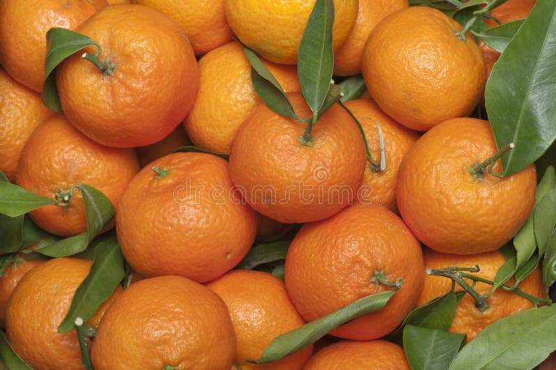 Mandarijn stock foto. Image of mandarijnen, vrucht, vruchten - 22647378