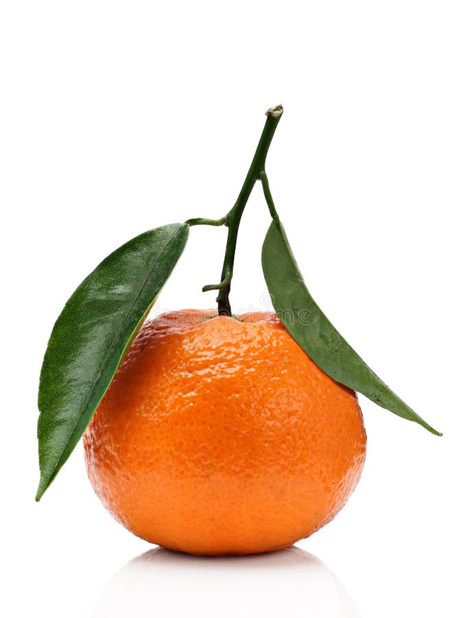 Mandarijn stock foto. Afbeelding bestaande uit thailand - 16569124