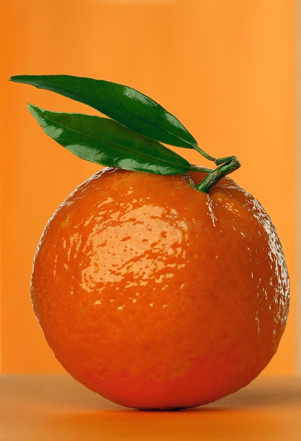 Mandarijn stock foto. Image of blad, gezondheid, voeding - 396956