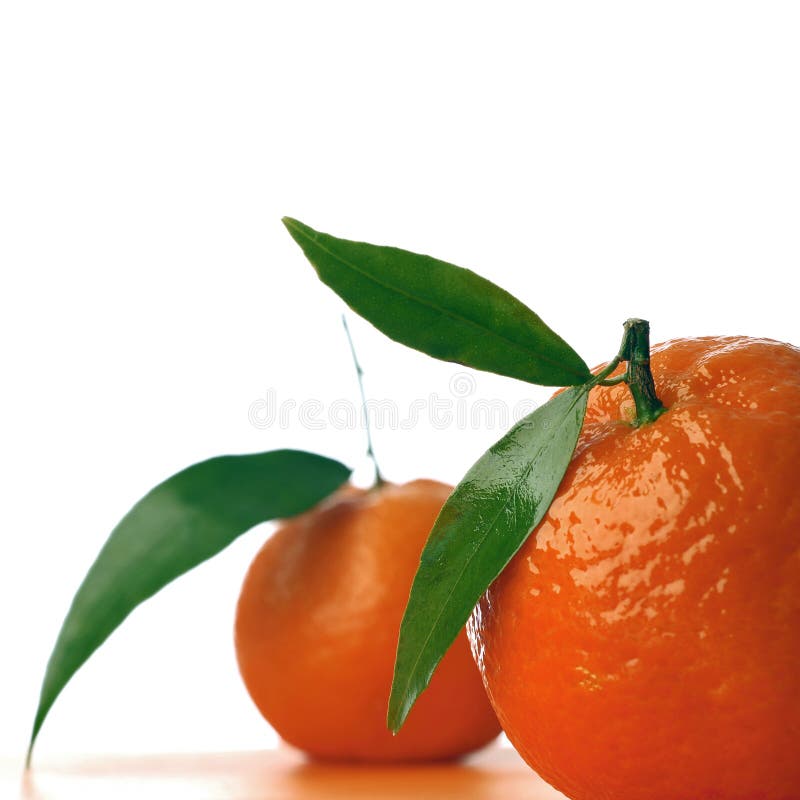 Mandarijn stock foto. Image of citrusvrucht, sinaasappel - 396954