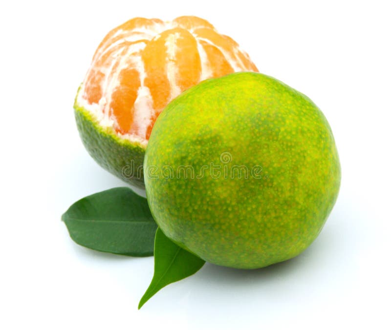 Groene mandarijnen stock afbeelding. Image of sinaasappel - 16255707