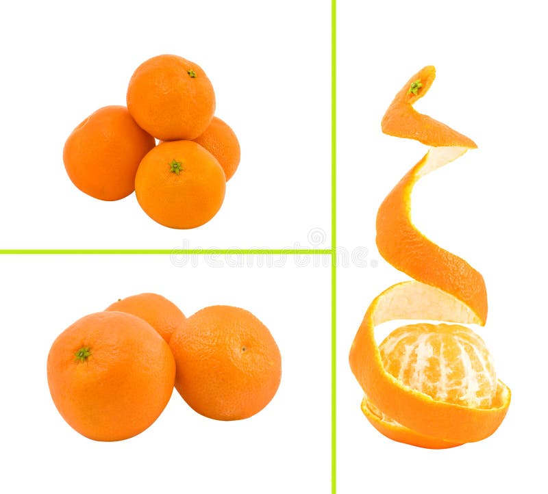 Skin of mandarin stock photo. Image of circle, white - 12587338