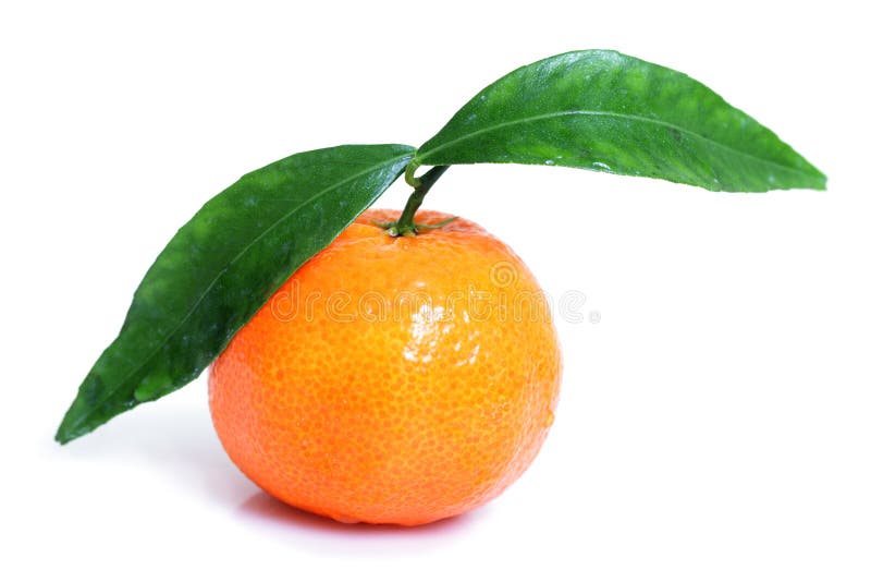 Mandarin. stock photo. Image of healthy, food, citrus - 22384096
