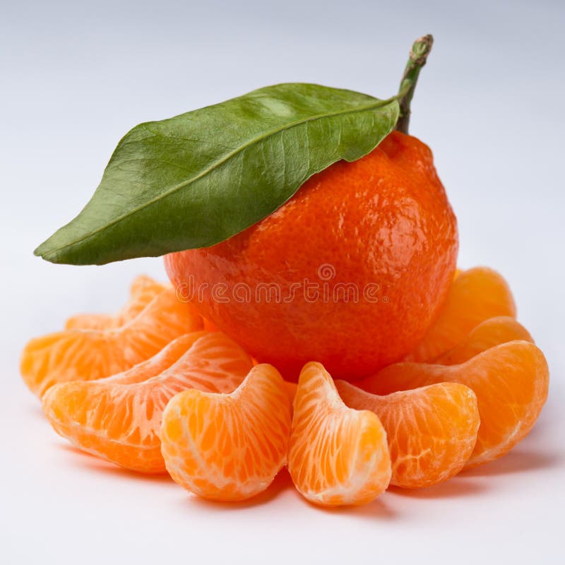 Mandarin - citrus fruit stock photo. Image of organic - 27857650