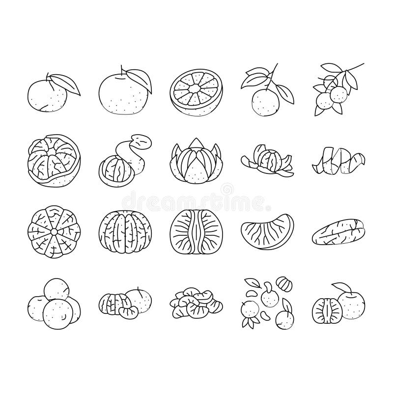 Half Clementine Stock Illustrations – 746 Half Clementine Stock ...