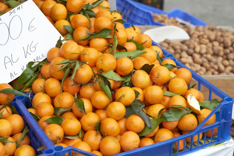 Mandarin stock photo. Image of market, citrus, succulent - 62846428