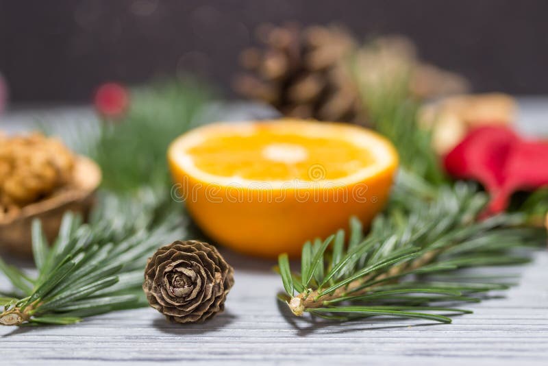 Mandarin, Cone and Christmas Tree Branch Stock Image - Image of tree ...