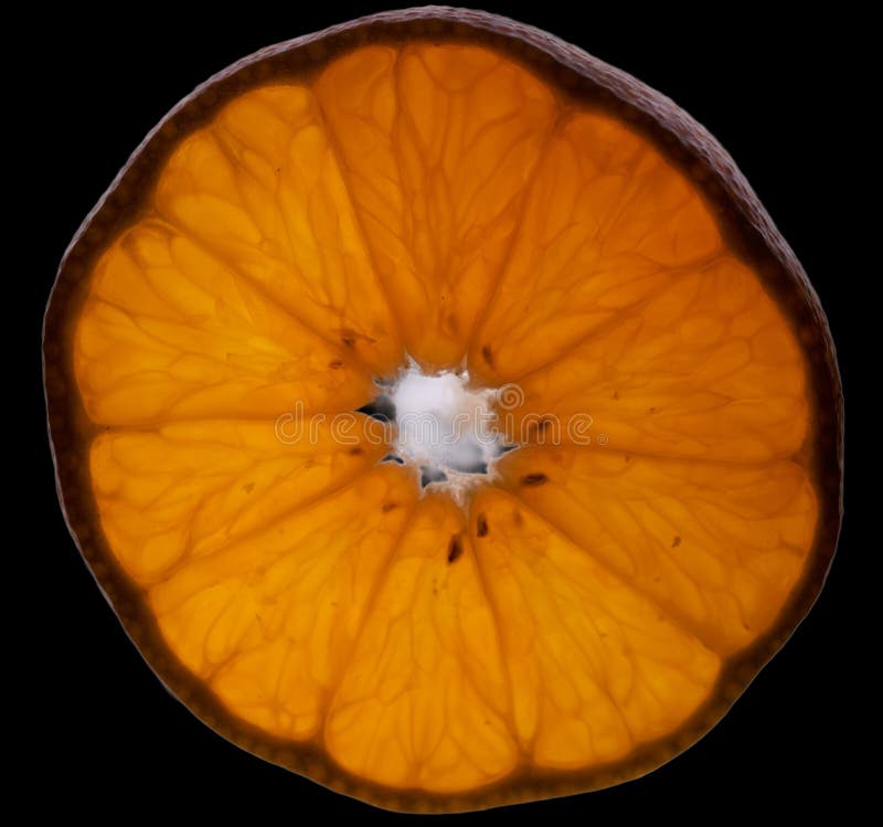 Mandarin, Cross Section, Structure, Pattern, Background, Color Stock ...