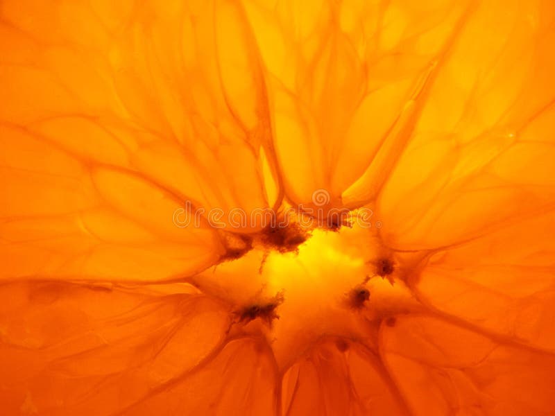 Mandarin stock photo. Image of orange, macro, ripe, juicy - 83140174