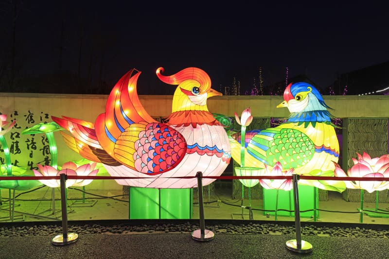 Mandarin Duck Shaped Traditional Chinese Lantern Stock Image - Image of ...
