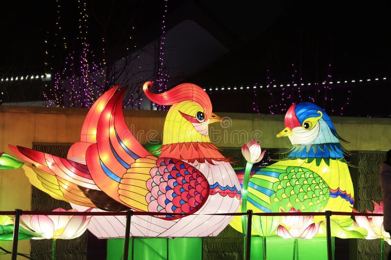 Mandarin Duck Shaped Traditional Chinese Lantern Stock Photo - Image of ...