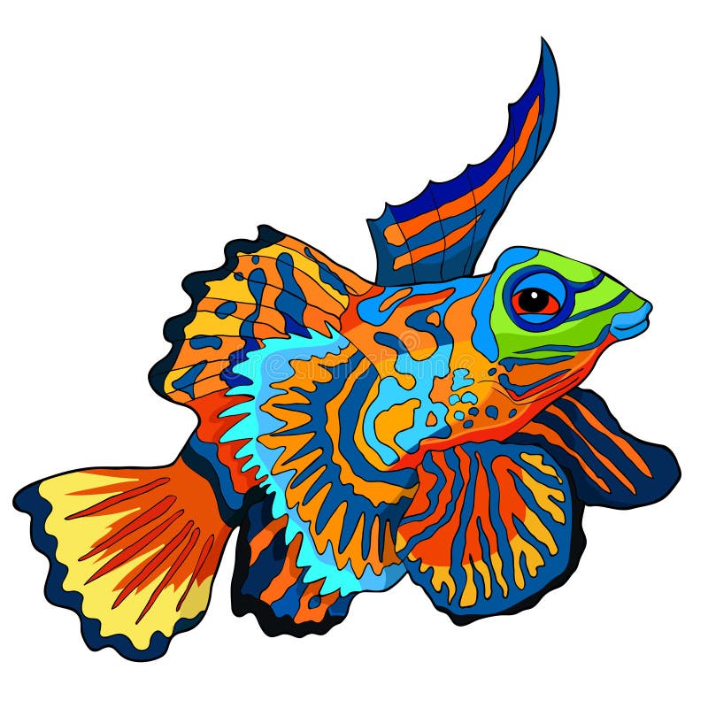 Mandarin Fish, Flat Cartoon Realistic Drawing, Hand Drawn Sea Animal ...