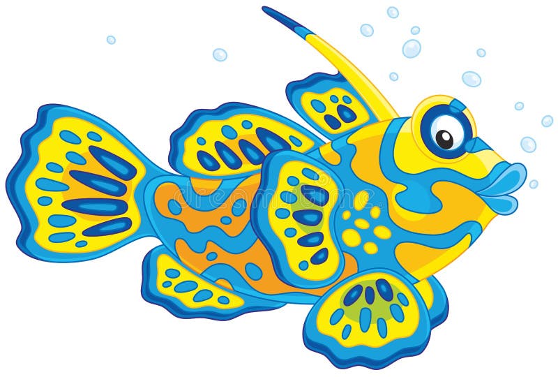 Mandarin Fish, Line Silhouette Cartoon Hand Drawn Sea Animal, Contour ...