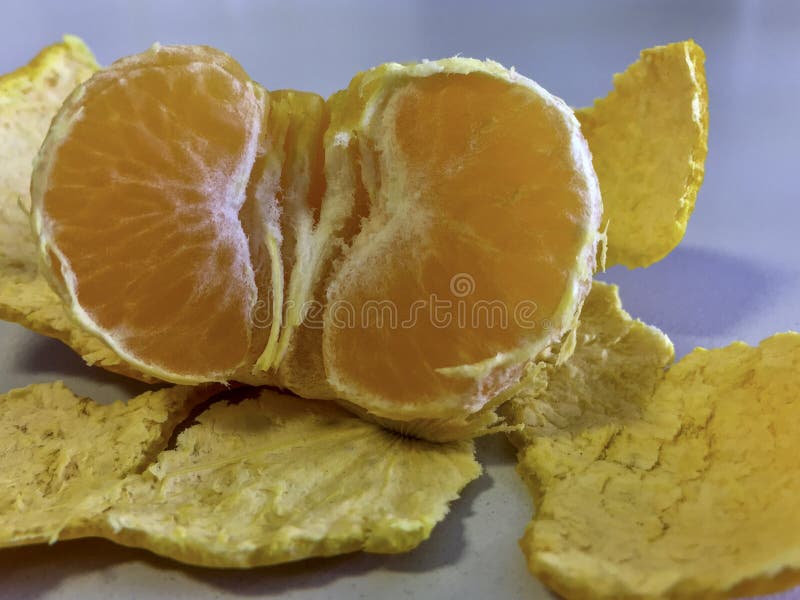 Mandarin flakes on peel stock image. Image of citrus - 151828163