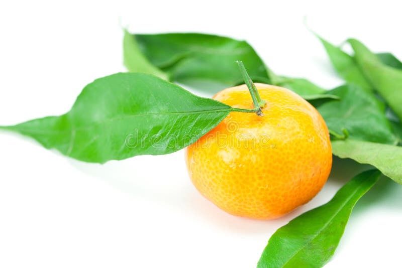 Mandarin with Green Leaves Isolated on White Stock Photo - Image of ...