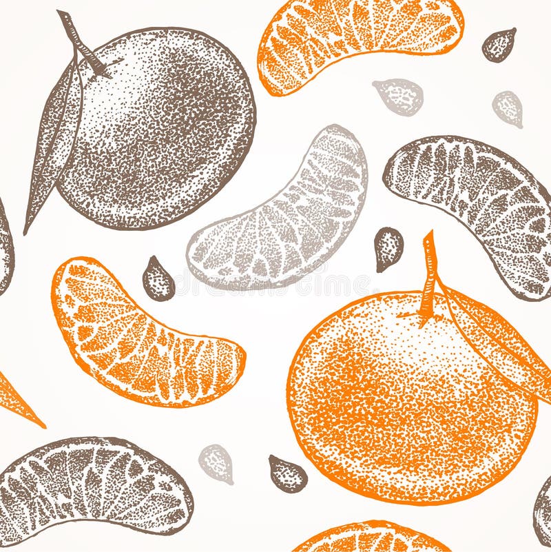 Mandarin Hand Draw Sketch Background Pattern. Vector Stock Vector ...