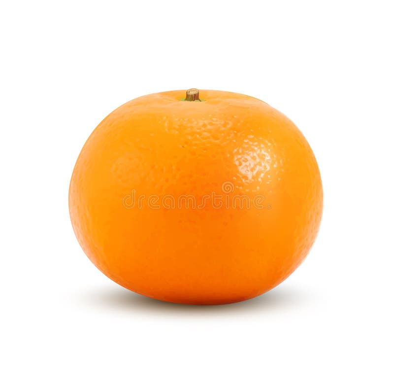 Single Mandarin Stock Illustrations – 535 Single Mandarin Stock ...