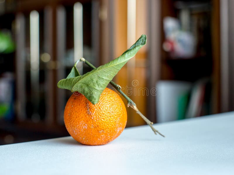 Mandarin. stock image. Image of traditional, vitamins - 63772947