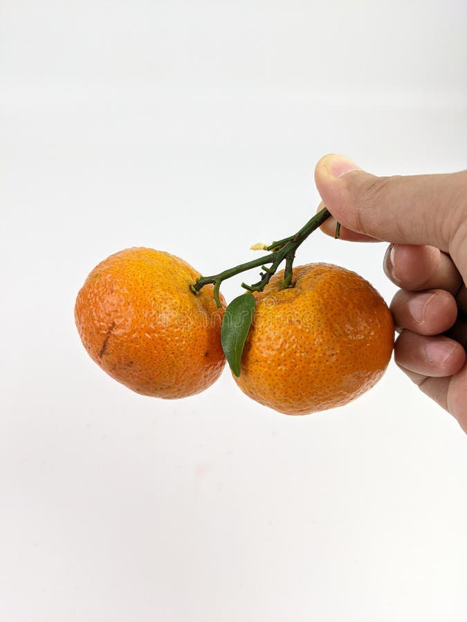 Mandarin Orange for Chinese New Year Concept Stock Image - Image of ...