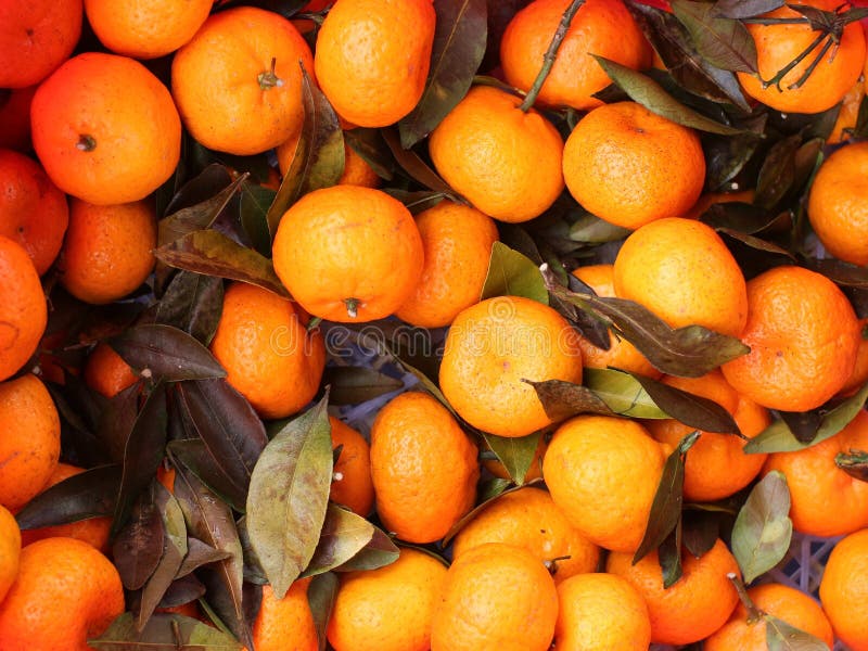 Mandarin Orange Fruit is in a Basket, Fresh Mandarin Orange Texture ...