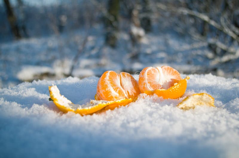 Mandarin orange on a snow. stock image. Image of orange - 62925345