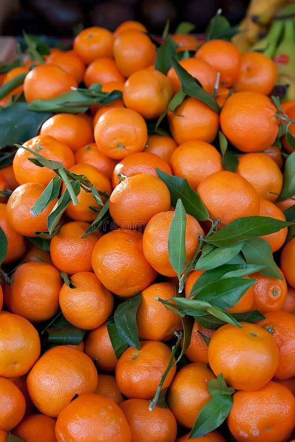Mandarin Oranges stock image. Image of food, citrus, stall - 23073901