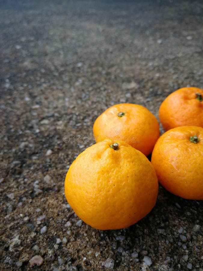 Mandarin Oranges and Chinese New Year. Stock Image - Image of mandarin ...