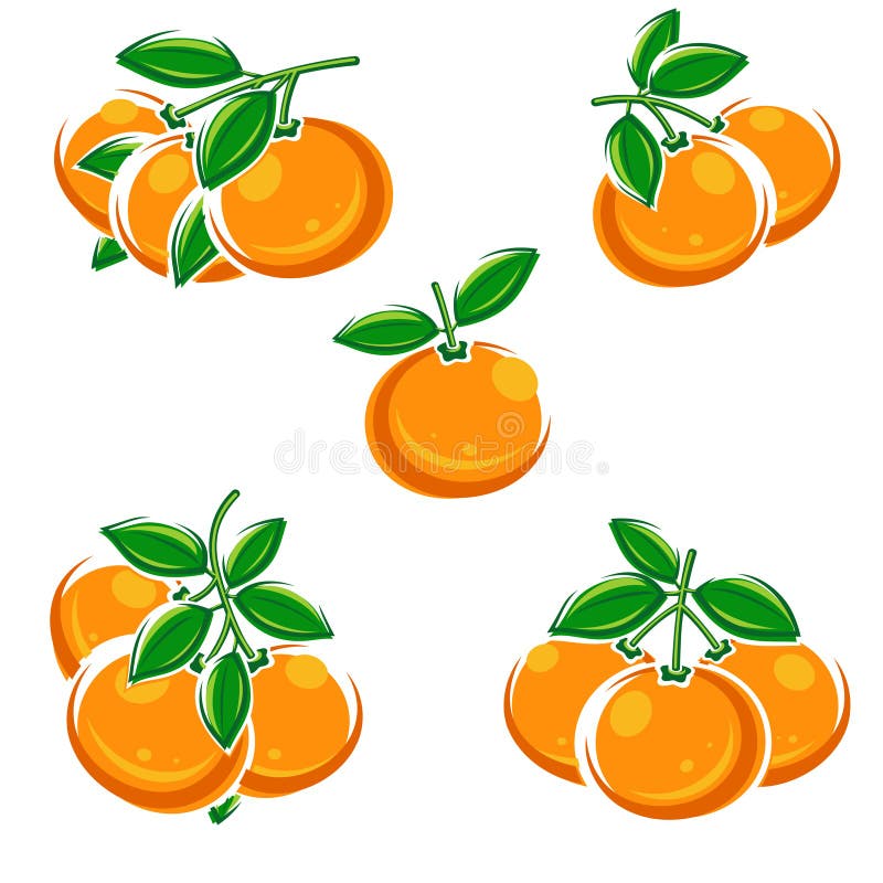 Mandarin Set. Collection Icons Mandarin Stock Vector - Illustration of ...