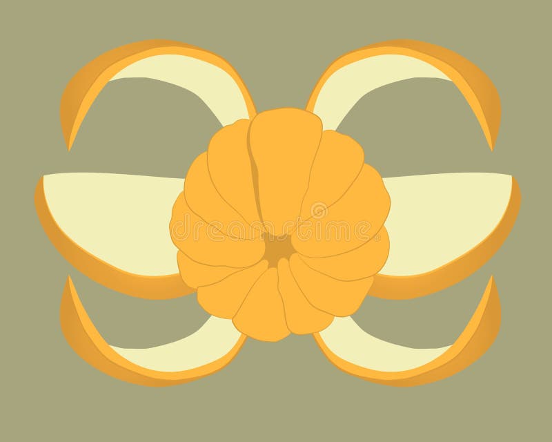 Mandarin Slices. Fruit Vector Drawing Illustration Stock Illustration ...