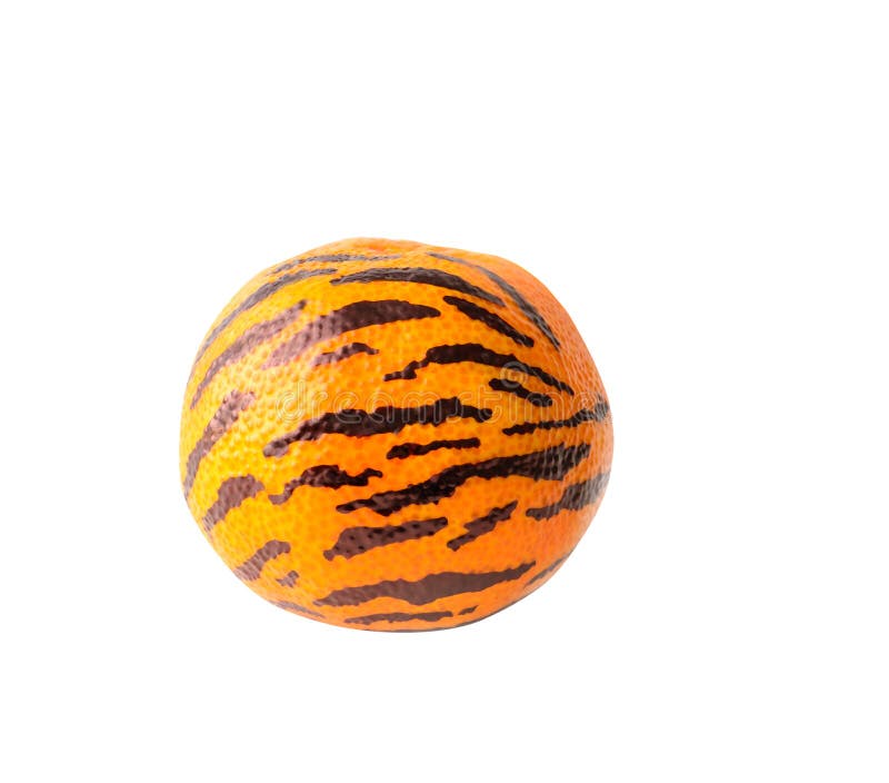 Tiger Fruit Coloring Stock Photos - Free & Royalty-Free Stock Photos ...